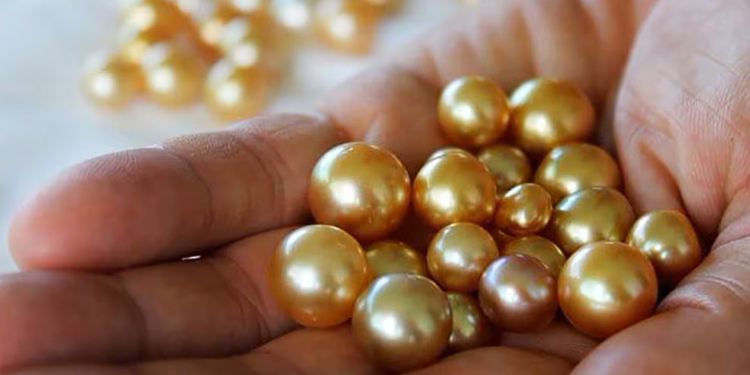 Why South Sea Pearls Are Precious?