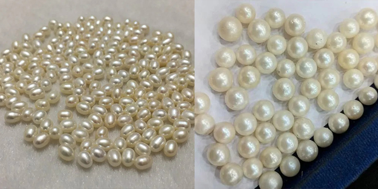 Main Differences Between Freshwater vs. Saltwater Pearls