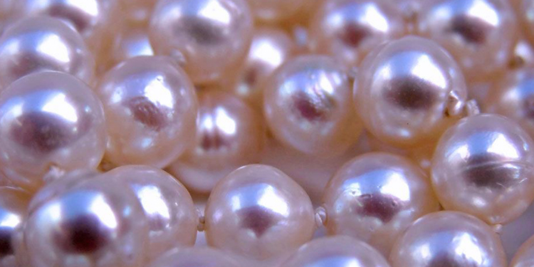Main Differences Between Freshwater vs. Saltwater Pearls