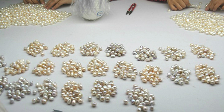 Main Differences Between Freshwater vs. Saltwater Pearls