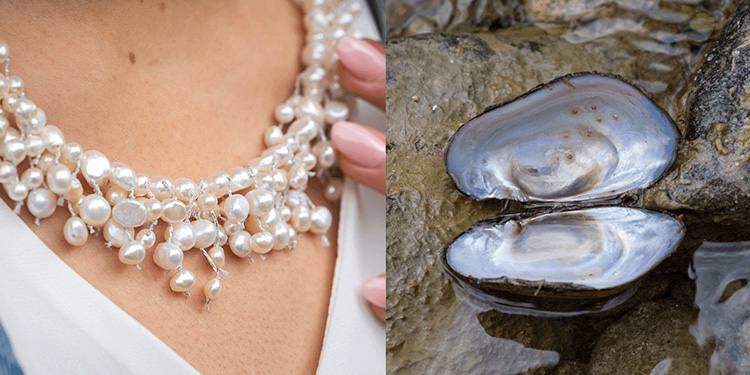 Decoding the Contrast: Unraveling Natural vs. Cultured Pearls
