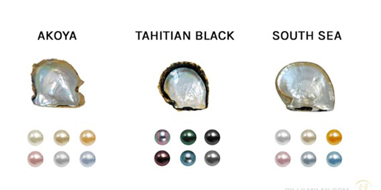 Saltwater vs Freshwater Pearls: Which Pearl is Best?
