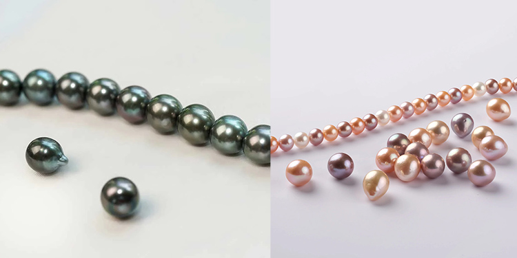 Saltwater vs Freshwater Pearls: Which Pearl is Best?