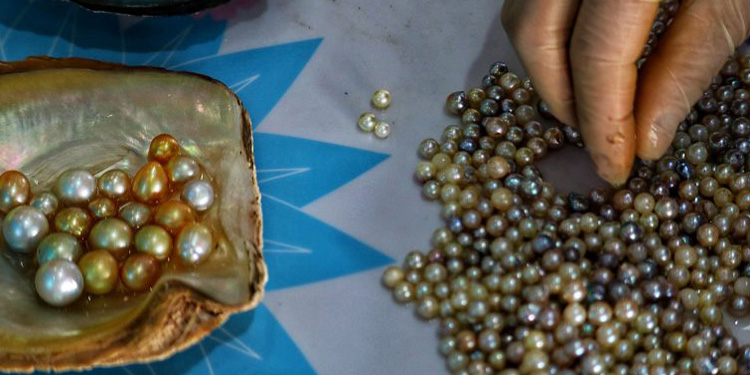 South Sea Pearls 101: The Complete Buyer's Handbook