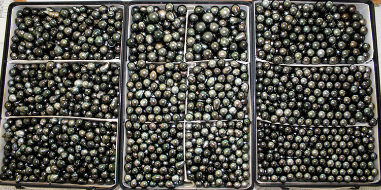 Tahitian Pearls: A 5-Minute Quick Buying Guide