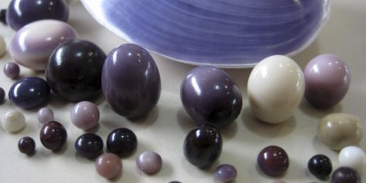 The Fascinating World of Quahog Pearls: A Comprehensive Introduction