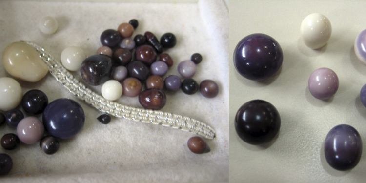 The Fascinating World of Quahog Pearls: A Comprehensive Introduction