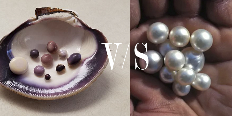 The Fascinating World of Quahog Pearls: A Comprehensive Introduction