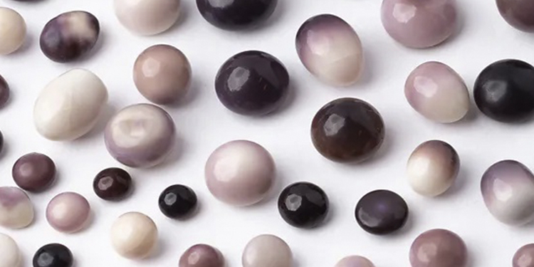 The Fascinating World of Quahog Pearls: A Comprehensive Introduction