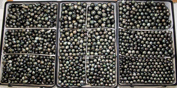 The Ultimate Guide to Wearing and Styling Black Pearls