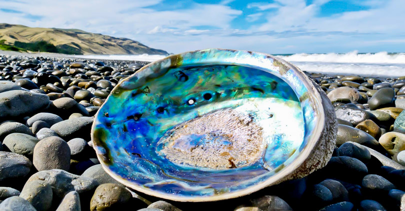 Understanding Pearl Colors: How Do Oysters Make Colored Pearls?
