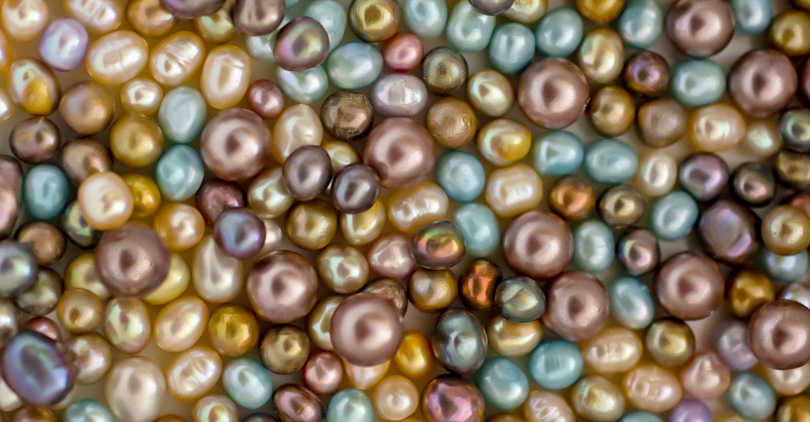 Understanding Pearl Colors: How Do Oysters Make Colored Pearls?