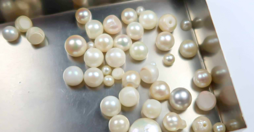 Unveiling the Mysteries: Exploring the Origins and Source of Pearls