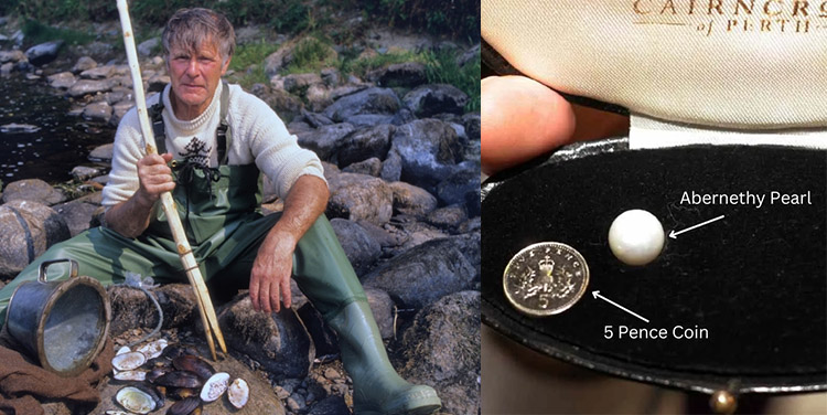 Unveiling the Stories Behind the 10 Most Famous Pearls