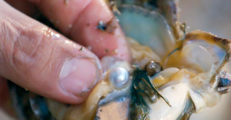 The Ultimate Guide to Pearl Pricing: How Much Do Pearls Cost?