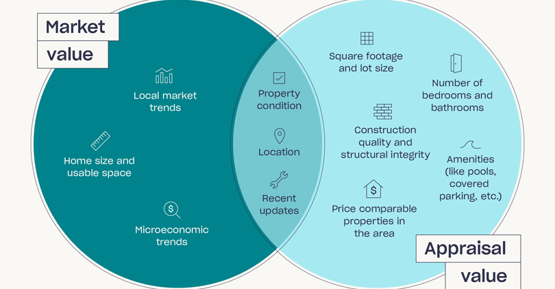 The Ultimate Guide to Pearl Pricing: How Much Do Pearls Cost?