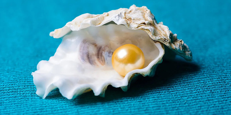 What Is Mother of Pearl? A Guide to Mother of Pearl Jewelry