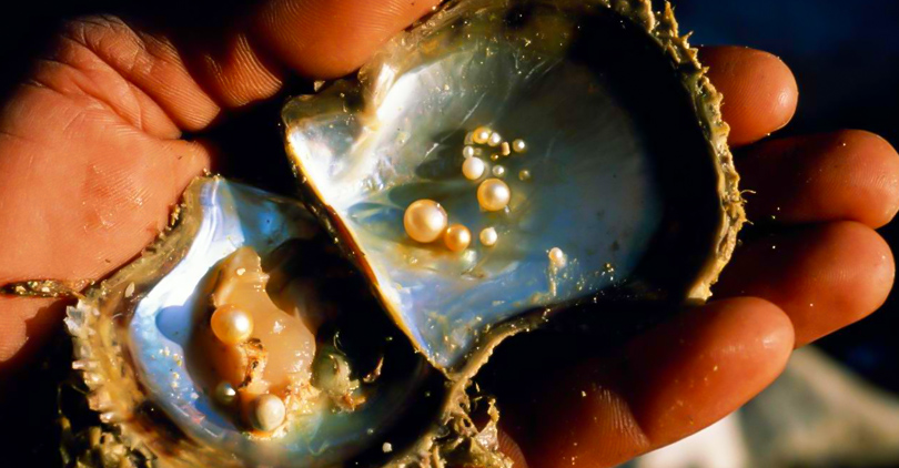 What Is The Difference Between Cultured, Freshwater and Shell Pearls?