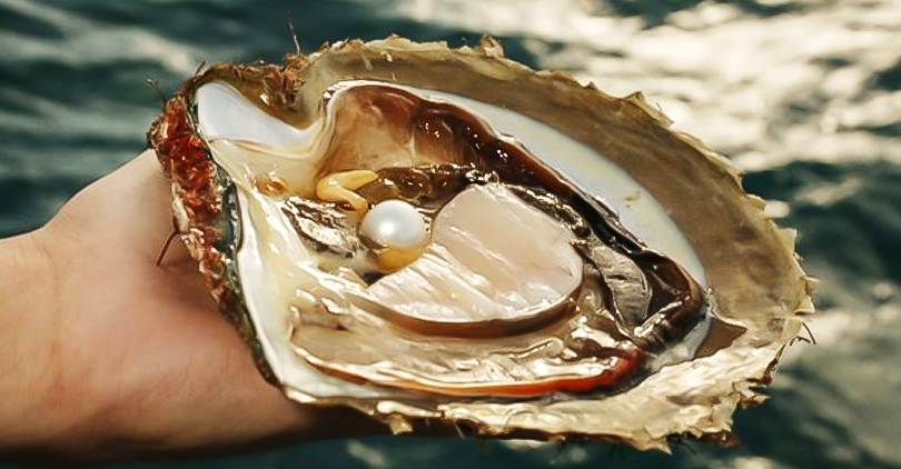 What is Mother of Pearl? Everything You Need to Know