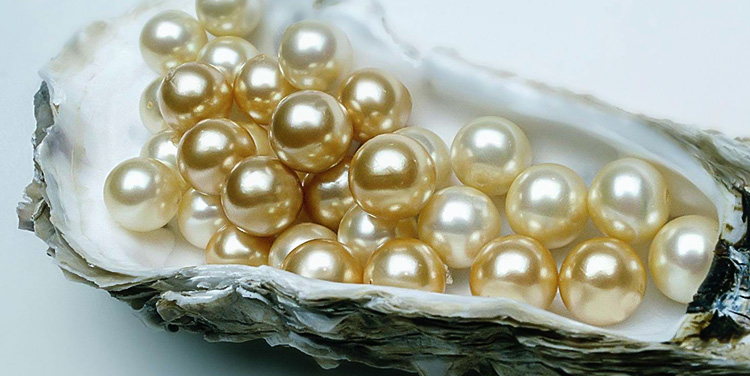 What is the Mother of Pearls? All You Need To Know